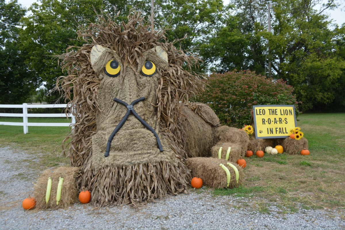 Christian County residents encouraged to create hay bale art, decorate ...