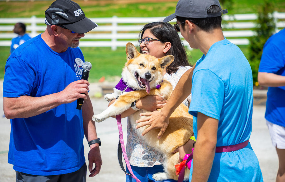 Corgis take the track for the first time at Oak Grove’s charity dog ...