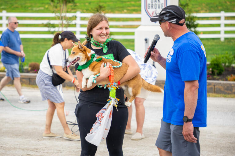 Corgis take the track for the first time at Oak Grove’s charity dog ...